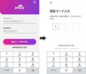 Appleで分割払いできるペイディあと払いプランApple専用を使ってみた！使い方・注意点を解説 - ガジェネクト